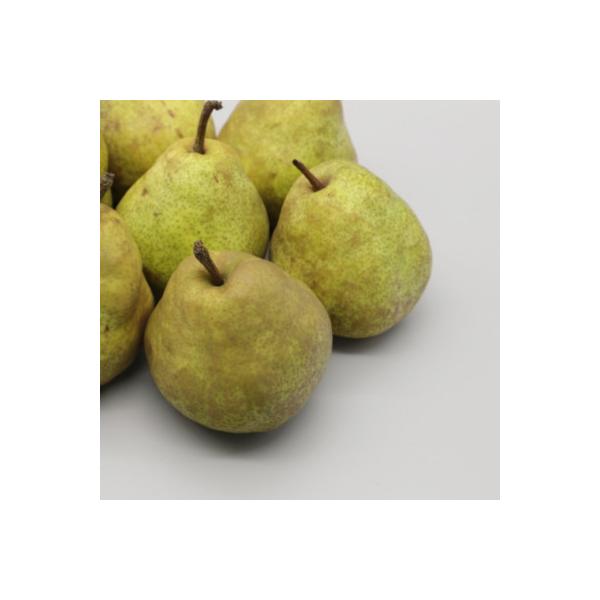 ■お礼品詳細　・配送種別：通常　・提供元：合同会社Ｃ＆Ｐ■お申し込み・配送・その他　・発送時期：【1回目】発送月の前月20日までのお支払いで発送月上旬より順次発送【2回目以降】発送月上旬より順次発送　・申込受付期間：通年　・配達外のエリア：...