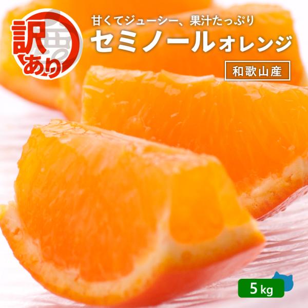 商品名セミノールオレンジ訳あり風によりキズやスレ・黒点などが外皮についていますが、皮をむけばほとんど問題なく、美味しく食べていただけます。サイズは規格外を含む混合です。ご家庭用や親しい方へのプレゼント・お裾分けにもどうぞ。内容5kg名称／サ...