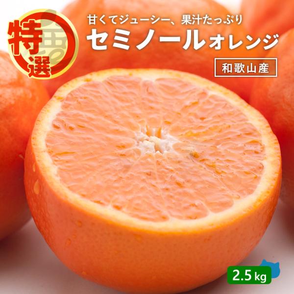 商品名セミノールオレンジ特選味のよい畑などから見た目がある程度良いもの・平均サイズを選別します。農薬を極力控えているため、見た目は少し悪い場合もありますが、池田鹿蔵農園の中では外観の良いものです。ご贈答用にもどうぞ。内容2.5kg名称／サイ...