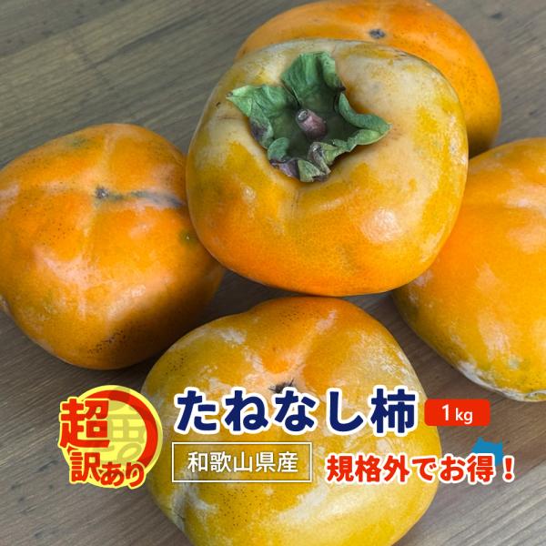 商品名たねなし柿超訳あり色づきにムラがあり、大き目のキズやシミなどがあります。鮮度・品質・味が劣る規格外品です。多少の傷みがある場合などは実を削っていただく必要があります。低価格販売のため、返品・交換はお受けできません。ジャムなど加工用とお...