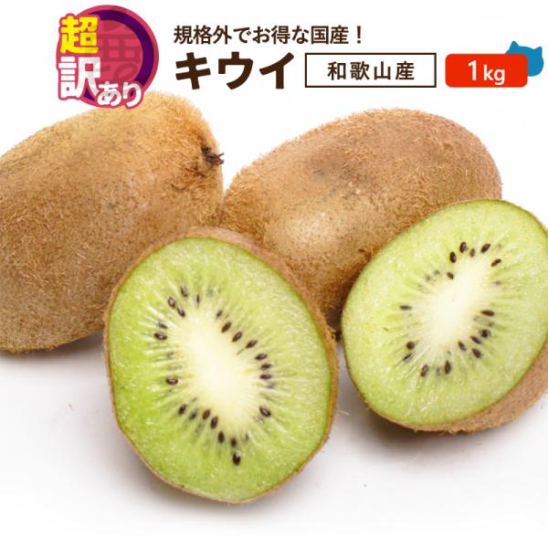 商品名キウイフルーツ超訳あり常の商品としては出荷できない品質で加工用です。表皮にキズ・シミなどがあります。規格外を外れるサイズも含みます。完熟であったり、多少の傷みがあるものも含みます。味・鮮度が劣り、品質・サイズにバラつきがあります。ジャ...