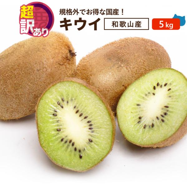 商品名キウイフルーツ超訳あり常の商品としては出荷できない品質で加工用です。表皮にキズ・シミなどがあります。規格外を外れるサイズも含みます。完熟であったり、多少の傷みがあるものも含みます。味・鮮度が劣り、品質・サイズにバラつきがあります。ジャ...