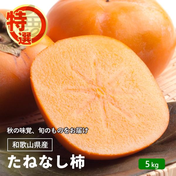 商品名たねなし柿特選比較的キズ・色ムラが少ないもの、サイズは混合ですがある程度揃うように選別してお送りします。ご贈答・プレゼントなどにもお使いいただけます。（栽培方法や果実の性質上、少しのキズや色ムラなどはご容赦ください）内容約5kg名称／...
