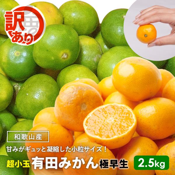商品名超小玉 有田みかん　極早生（青切り〜黄色）訳あり風によりキズやスレ・黒点などが外皮についていますが、皮をむけばほとんど問題なく、美味しく食べていただけます。とても小さいサイズで、規格外サイズを含む混合です。超小玉は3S以下中心（2Sを...