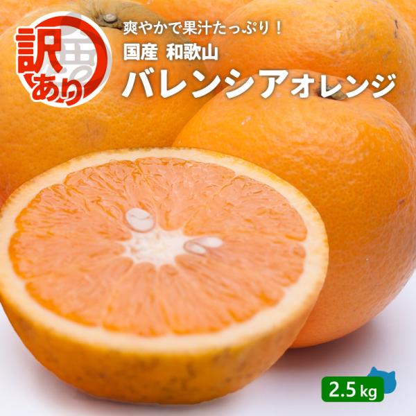 商品名バレンシアオレンジ訳あり風によりキズやスレ・黒点などが外皮についていますが、皮をむけばほとんど問題なく、美味しく食べていただけます。サイズは規格外を含む混合です。ご家庭用や親しい方へのプレゼント・お裾分けにもどうぞ。内容2.5kg名称...