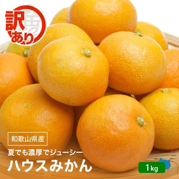 商品名ハウスみかん訳あり風によりキズやスレ・黒点などが外皮についていますが、皮をむけばほとんど問題なく、美味しく食べていただけます。サイズは規格外を含む混合です。ご家庭用や親しい方へのプレゼント・お裾分けにもどうぞ。内容1kg名称／サイズ／...