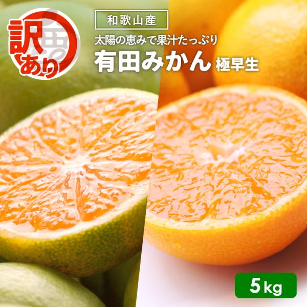 商品名有田みかん　極早生（青切り〜黄色）訳あり風によりキズやスレ・黒点などが外皮についていますが、皮をむけばほとんど問題なく、美味しく食べていただけます。サイズは規格外を含む混合です。ご家庭用や親しい方へのプレゼント・お裾分けにもどうぞ。重...