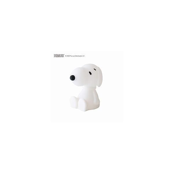 【発売日：2024年11月07日】いつでもそばに。手のひらサイズ！スヌーピーのミニライト