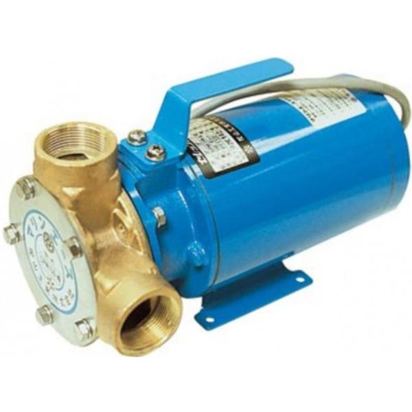 ●舶用エンジンメーカーにエンジン冷却用として永年の実績があります●画期的なカムレスケーシングで性能・耐久性抜群●メカニカルシール、オイルシールの二重封水構造で水漏れを防ぐ口径：1"1/4（32A）モーター　DC24V/400W＊北海道・沖縄...