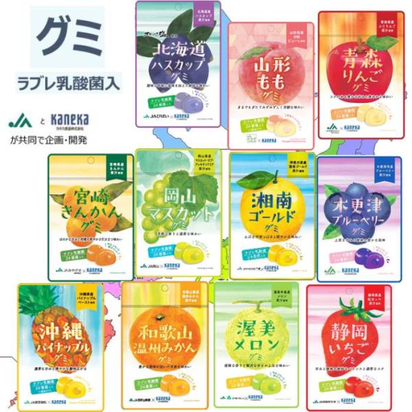 ポスト投函発送 期間限定 お試し 11種類各1袋 11袋セット販売 期間限定 カネカ食品 JA 共同開発 グミ 乳酸菌入り 湘南ゴールド 木更津ブルーベリー 渥美メロン 静岡いちご 和歌山温州みかん 青森りんご 岡山マスカット 北海道ハスカ...