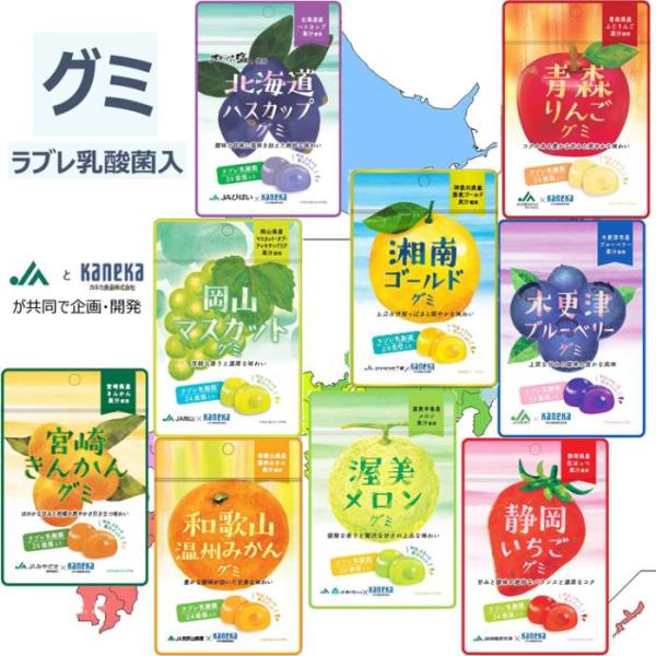 ポスト投函発送 期間限定 お試し 9種類各1袋 9袋セット販売 カネカ食品 JA 共同開発 グミ 乳酸菌入り 湘南ゴールド 木更津ブルーベリー 渥美メロン 静岡いちご 和歌山温州みかん 青森りんご 岡山マスカット 北海道ハスカップ 宮崎きん...
