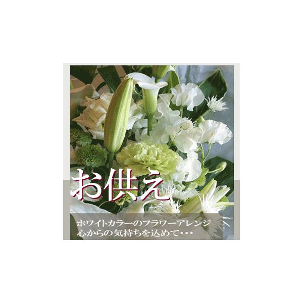 Vivreのフレッシュアレンジ生花を、優しくしっかり、心をこめてフラワーアレンジメントさせてお届けさせていただきます。