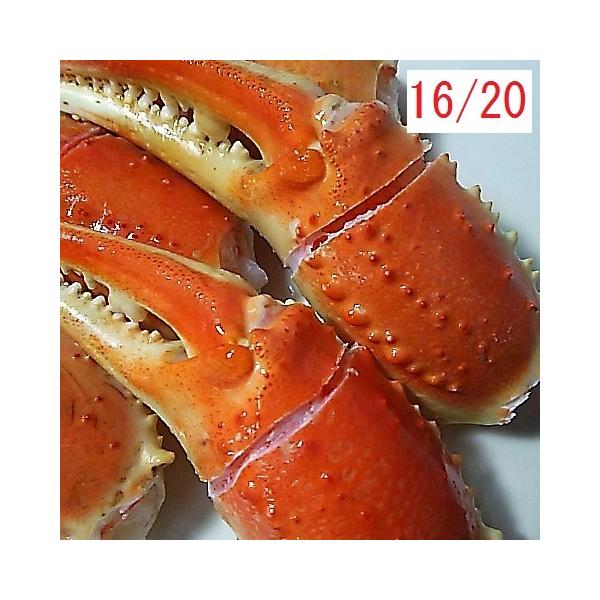 1.原料はロシア産,カナダ産,アメリカ産を使用してます。2.爪の大きさは　16個から20個で1ｋｇ　特大サイズで粒ぞろいの食べやすいズワイガニ爪です。3.殻付で保存状態良好で美味しく、殻に筋目入れてますので 解凍すると簡単に殻を剥がせます。...