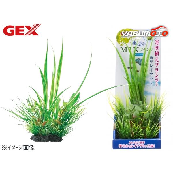 GEX 癒し水景 MIXプランツ Mシペルス寄せ植えプランツで簡単レイアウト水槽に入れるだけで華やかなレイアウトが完成する寄せ植えプランツです。ボリューム感たっぷり。1つ入れるだけで水槽が華やかになります。中景として組み合わせも簡単です。【...