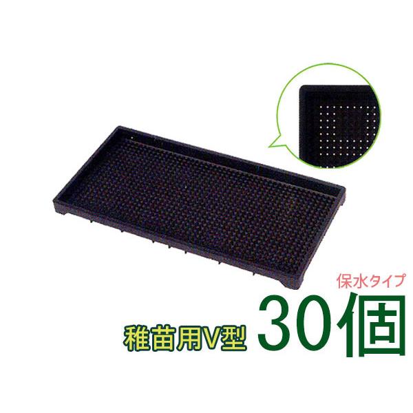 稚苗用 育苗箱 水稲用 628穴 60×30×3.7mm 30個セット 稚苗用V型 保水タイプ  送料無料 アイカ aika 企業納品のみ ※配送不可地域有　※時間指定不可　水稲用育苗箱 稚苗用V型 保水タイプ 628穴　クリスタルカット丈...