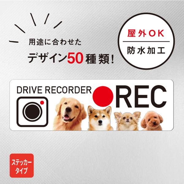 ドライブレコーダー 搭載 犬 猫 ステッカー 撮影中 危険運転撃退 シール おしゃれ いぬ 防水加工 雑貨［郵送方法］クリックポストで発送※他の商品と同梱する場合、郵送方法が変更になる場合がございます。［本体サイズ］縦50×横160（mm）...