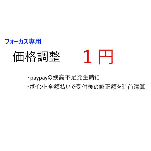 ※実際の商品ではありません。また注文された金額分が”お客様の【PayPay】に入金されるような商品ではございません”ので誤ってご注文されないようにお願い致します。当店で商品をご注文で、次のような場合の為の価格調整用として利用します。「pay...