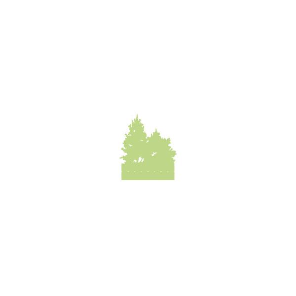 HI MOJIMOJI（ハイモジモジ）  森林の中の「デングオン」  Deng On / Forest  HMDE-1225