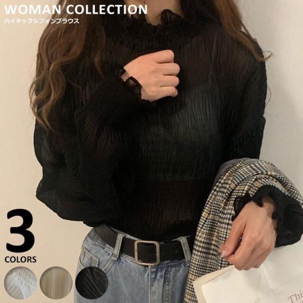 商品名：ハイネックシフォンブラウス / High necked chiffon blouseフリル感がかわいい、シアータイプのハイネックブラウスです♪大人でも着られるきれいめのフリルなので、トレンドのレイヤードコーデに合わせるのがおすすめ！...