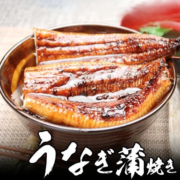 うなぎ蒲焼き（長焼き、真空パック）約140g　2尾　タレ4袋　焼津養殖【賞味期限】冷凍1ヶ月　　解凍後、2日【お届け日時】在庫がある場合→即日発送在庫がない場合→入荷後発送注文日より4日後からのお届け指定が可能です。■冷凍商品には解凍方法の...