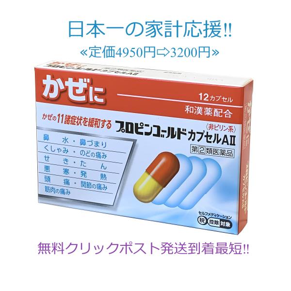 当製品は電子プライスで他店価格よりタイムリーに値下げ対応し時価最安値で販売しています。販売価格はタイムリーに変わりますのでご理解のほどよろしくお願いいたします。プロピンゴールドカプセルＡII 60カプセル 指定第２類医薬品 2種類の解熱鎮痛...