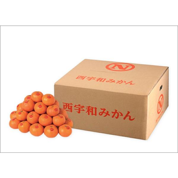 【発売日：2025年11月19日】商品名　真穴みかん産地　愛媛西宇和　（ＪＡ真穴共選）サイズ　S〜Lサイズ内容量　　10キロＪＡ西宇和　真穴共選の真穴みかん最高産地で光糖度センサー選果真穴みかんの最大の特徴は、皮の薄さと甘さ、これらが作り出...