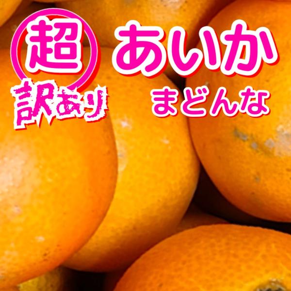 【発売日：2025年11月30日】品名　愛媛！超！訳あり　あいかまどんな(紅マドンナと同一品種)産地　愛媛西宇和規格　超！訳ありサイズ　サイズ不揃いサイズが偏る場合もあります内容量　5キロ（4.5キロ＋保証分500g）配送方法　　ゆうパック...