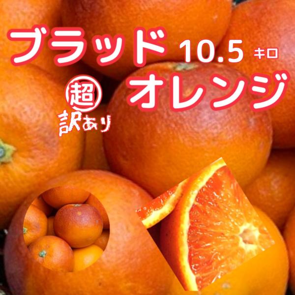 【発売日：2026年03月25日】品名　超訳あり　ブラッドオレンジ（タロッコ種）産地　愛媛八幡浜規格　超訳ありサイズ　不揃い内容量　10.5キロ(１０キロ＋保証分500g)発送　ゆうパック減農薬栽培ブラッドオレンジブラッドオレンジには、モロ...