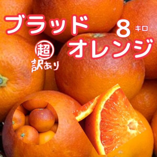 【発売日：2026年03月25日】品名　超訳あり　ブラッドオレンジ（タロッコ種）産地　愛媛八幡浜規格　超訳ありサイズ　不揃い内容量　８キロ(7.5キロ＋保証分500g)発送　ゆうパック減農薬栽培ブラッドオレンジブラッドオレンジには、モロ種と...