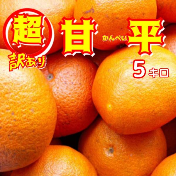 【発売日：2026年03月15日】品名　農家応援　甘平産地　愛媛八幡浜規格　超訳ありサイズ　不揃い（小玉）内容量　５キロ(4.5キロ+保証500g)発送　ゆうパック農家応援規格外　甘平当店の超訳あり品について近年の異常気象、高温や雨不足で、...