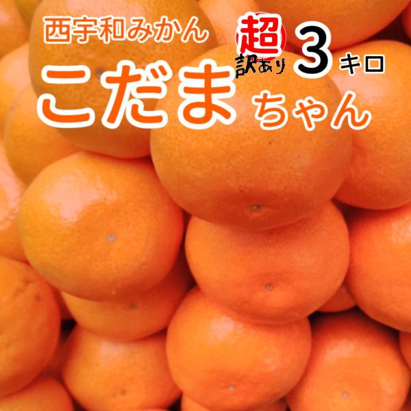 【発売日：2026年02月15日】品名　超訳あり　こだまみかん産地　愛媛八幡浜規格　超訳ありサイズ　不揃い不選別　内容量　３キロ（2.7キロ＋保証分約３００g）サイズ不揃い2S〜４Sまでのサイズが入りますジュース加工用に最適です。キズすれ青...