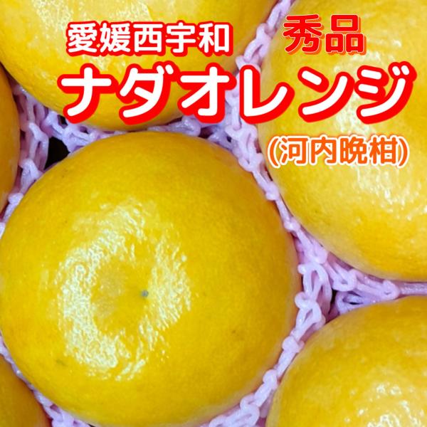 【発売日：2026年05月17日】果汁たっぷりでジューシーな味わいほどよい甘さと酸味のバランスが良く、苦味のない和風グレープフルーツと称される「河内晩柑」。この地の名からナダオレンジと名付けました。ビタミンCが豊富な一方でカロリーが少なく、...