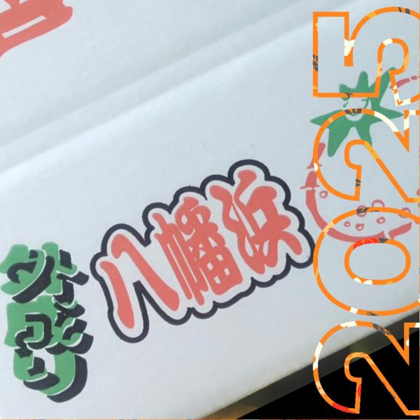【発売日：2026年11月24日】商品名　元祖　外成り八幡浜みかん　産地　　愛媛西宇和　サイズ　不揃い内容量　５Kg当店オリジナル名　外成りみかん　　由来十数年前、八幡浜に大きい台風が直撃し強い風にあおられみかんが枝や葉に当たり傷つき傷だら...