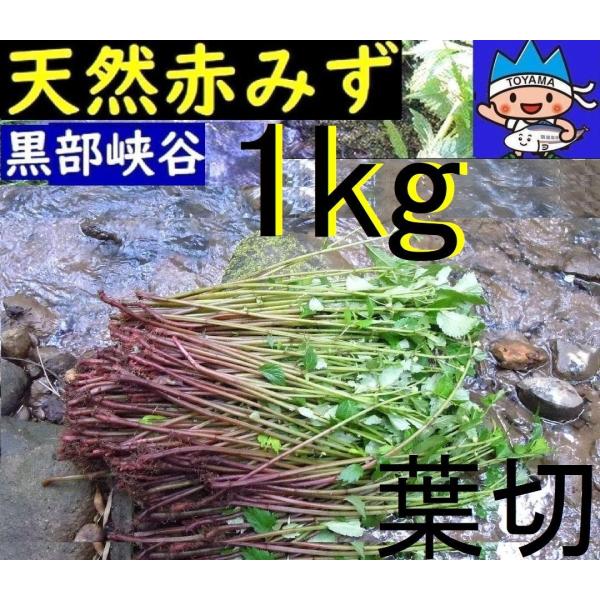 【本州以外のお客様(北海道、沖縄、離島)にお願い】　※常温発送の為、(関東 東海 近畿 北陸 信越)　以外の地域は　到着までに3日以上掛かり鮮度の保証ができかねない為　大変恐縮ですがご購入をお控え下さいます様お願いします。<m(__)...
