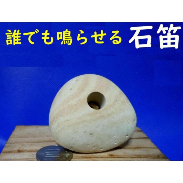 【発売日：2025年11月25日】