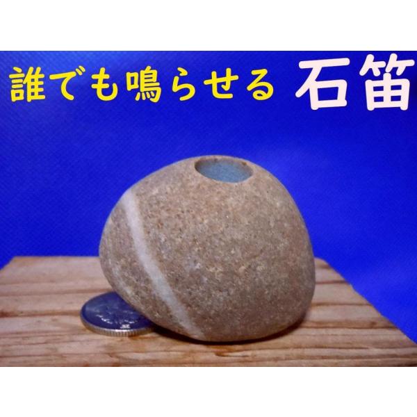 【発売日：2025年11月25日】