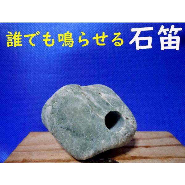 【発売日：2025年07月24日】