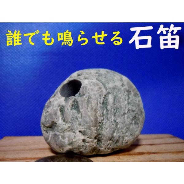 【発売日：2025年11月25日】