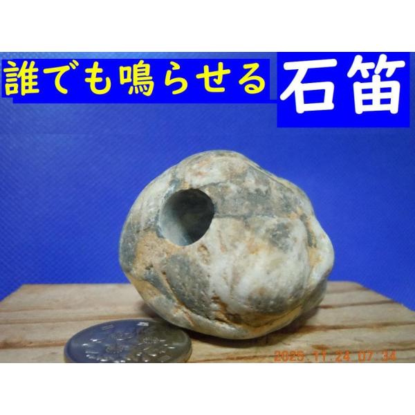 【発売日：2025年11月25日】