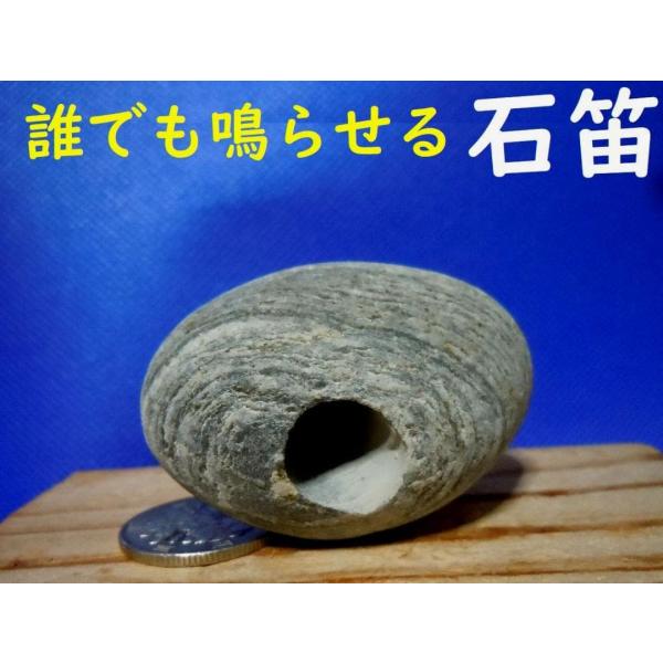 【発売日：2025年11月25日】