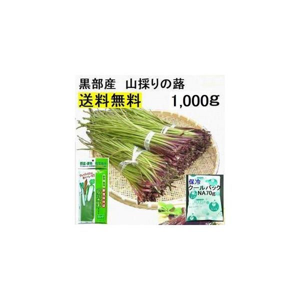 　　　　　◆お客様にお願い◆常温(保冷剤入り)発送の為、到着までに2日以上かかる地域にお住まいの方々(北海道 、四国、九州、四国、沖縄、佐渡地域)はクール便商品をお求め頂きます様お願いします。※鮮度を重視しておりますで、ご理解頂ければ幸いで...