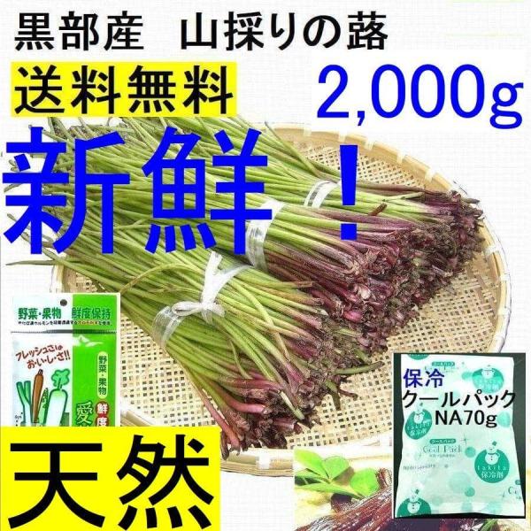 　◆お客様にお願い◆<br>常温(保冷剤入り)発送の為、到着までに2日以上かかる地域にお住まいの方々(北海道 、四国、九州、四国、沖縄、佐渡地域)には<br>クール便商品をご購入下さい。<br>※鮮度を重...