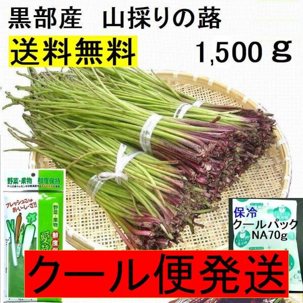 ※こちらは遠方のお客様用にクール便での発送とさせていただきます産地：黒部市南東部山間地サイズ：茎長30cm〜45cm 太さ5mm〜10mmの混合(ゆうパック80サイズ)　ご覧頂き有難う御座います。　名水の里黒部の美しい水と澄み切った美しい空...