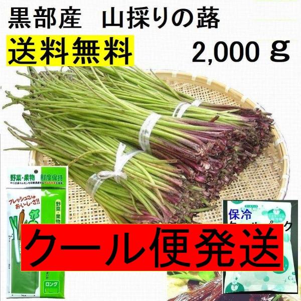 ※こちらは遠方のお客様用にクール便での発送とさせていただきます産地：黒部市南東部山間地サイズ：茎長30cm〜45cm 太さ5mm〜10mmの混合(ゆうパック80サイズ)　ご覧頂き有難う御座います。　名水の里黒部の美しい水と澄み切った美しい空...