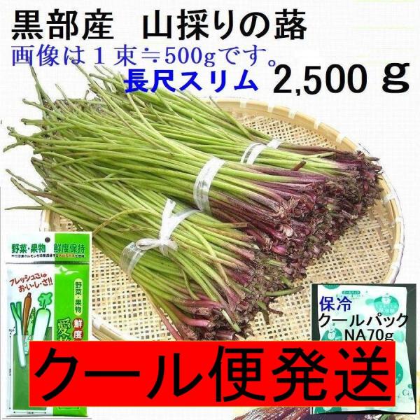 ※こちらは遠方のお客様用にクール便での発送とさせていただきます産地：黒部市南東部山間地サイズ：茎長30cm〜45cm 太さ5mm〜10mmの混合(ゆうパック80サイズ)　ご覧頂き有難う御座います。　名水の里黒部の美しい水と澄み切った美しい空...