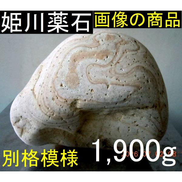 【発売日：2026年07月05日】