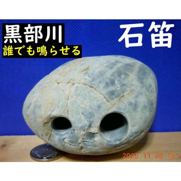 【発売日：2025年02月17日】