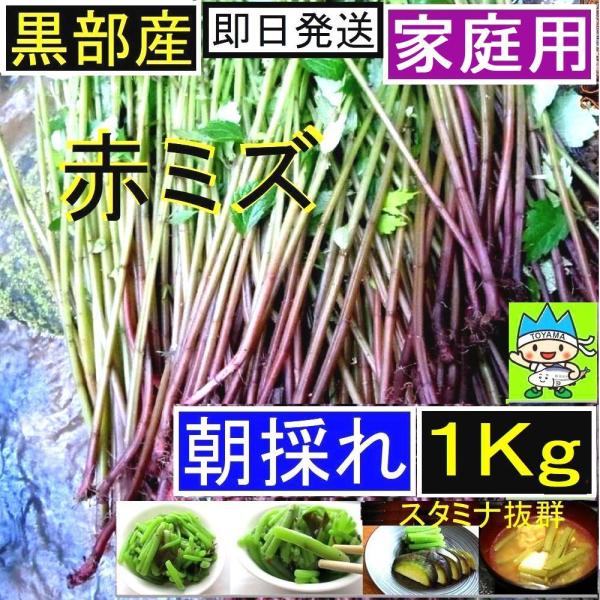 【本州以外のお客様(北海道、沖縄、離島)にお願い】　※常温発送の為、(関東 東海 近畿 北陸 信越)　以外の地域は　到着までに3日以上掛かり鮮度の保証ができかねない為　大変恐縮ですがご購入をお控え下さいます様お願いします。<m(__)...