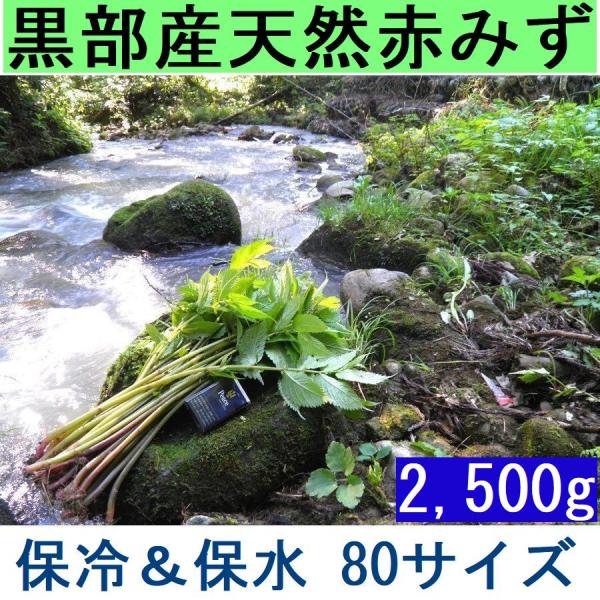 ※※※本州以外のお客様(北海道、九州、四国、離島)にお願い※※※※保冷発送の為、(関東 東海 近畿 北陸 信越)　以外の地域は到着までに2日以上掛かり、高温期で鮮度の保障が出来ない為購入をお控え頂きます様お願いします。腐敗する事は無いとは思...