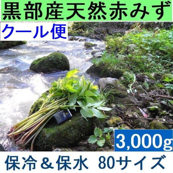 ※※※本州以外のお客様(北海道、九州、四国、離島)にお願い※※※※保冷発送の為、(関東 東海 近畿 北陸 信越)　以外の地域は到着までに2日以上掛かり、高温期で鮮度の保障が出来ない為クール便発送のごちらをおすすめします。産地：黒部市南東部山...